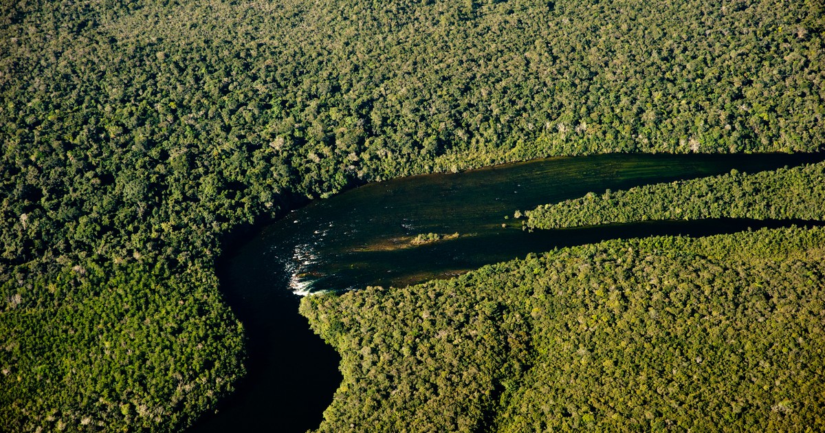 G1 - Estudo aponta boa qualidade de água dos rios da bacia Amazônica em ...
