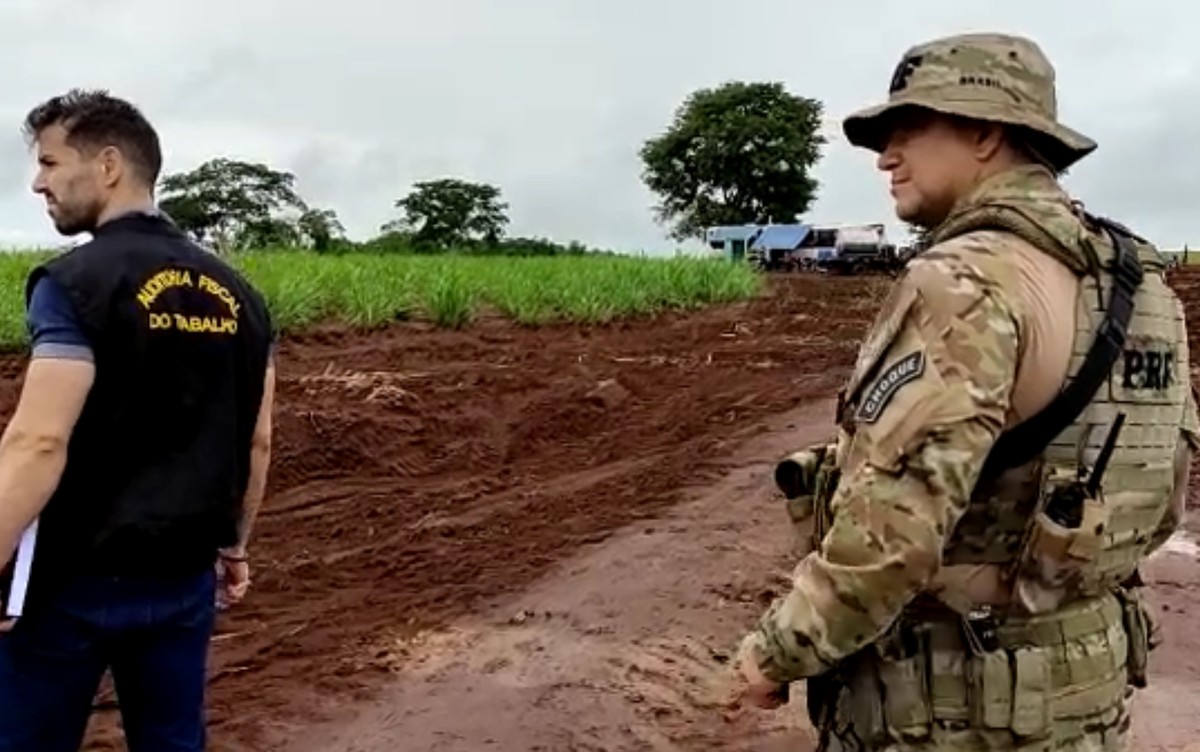 Operação identifica mais de 160 trabalhadores em situação precária e ...