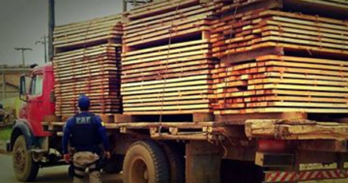 G1 - Cigarros e madeira são apreendidos pela PRF em Buritis, Rondônia ...