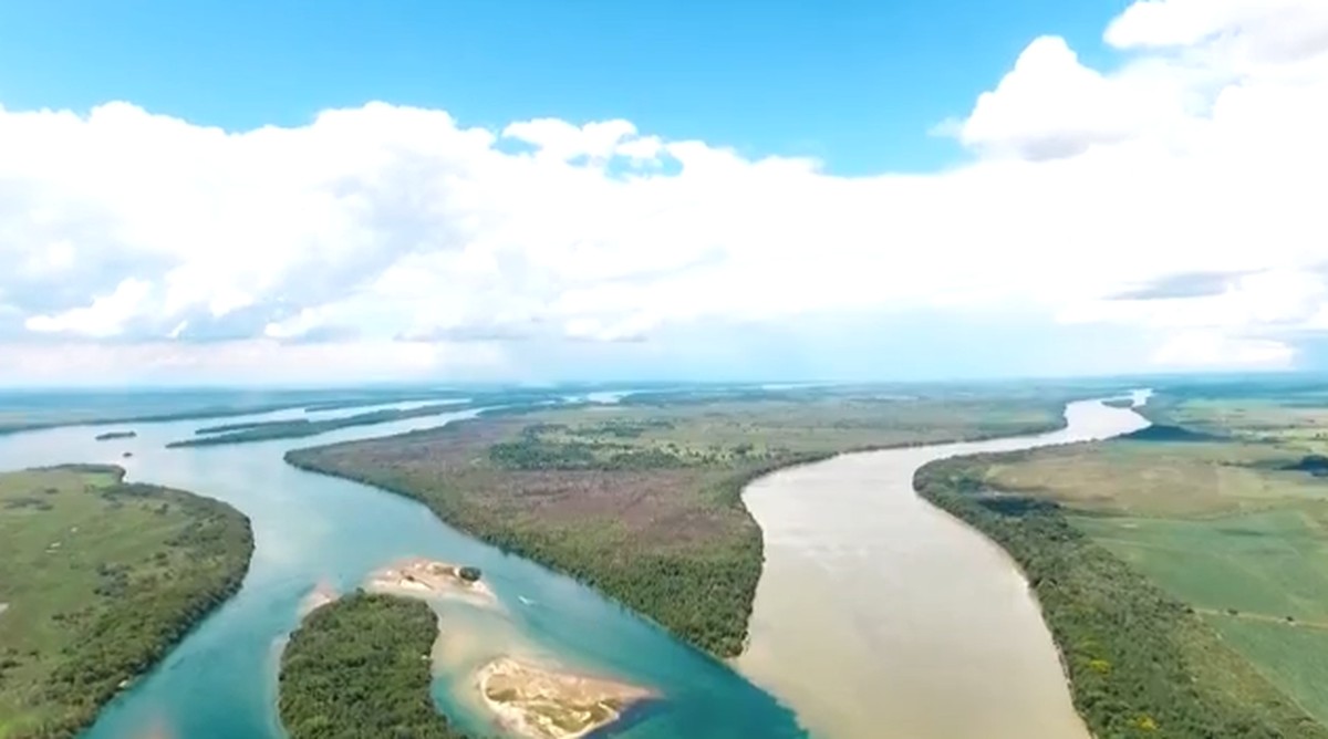 Porto Rico: paraíso paranaense de águas cristalinas, espécies de ...