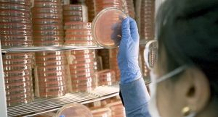 Brasileira de biológicos vai inaugurar duas novas fábricas até 2024 ...