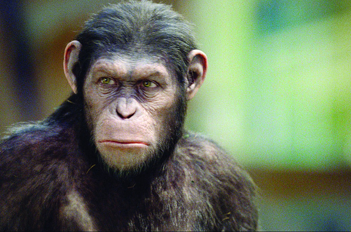 A nova revolta dos macacos | Eu & | Valor Econômico