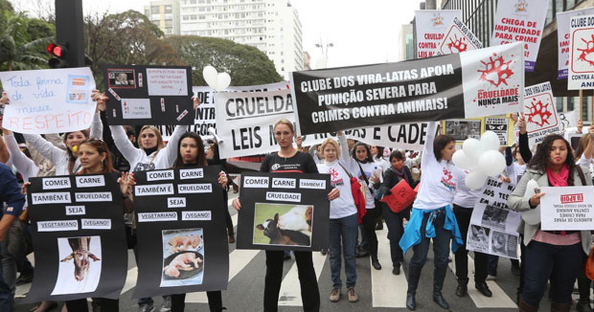 G1 - Manifestantes protestam em defesa dos animais na Avenida Paulista ...