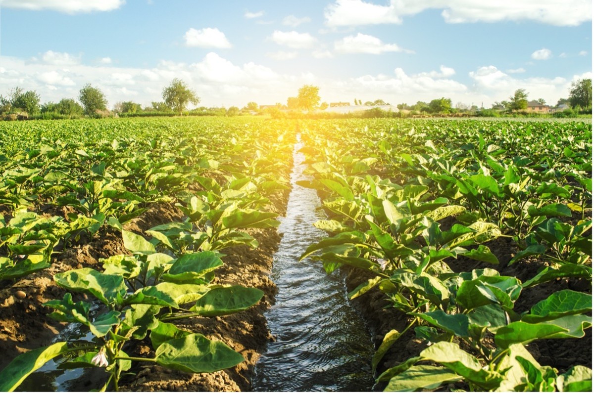 Tecnologia no campo: os benefícios e os desafios da conectividade ...