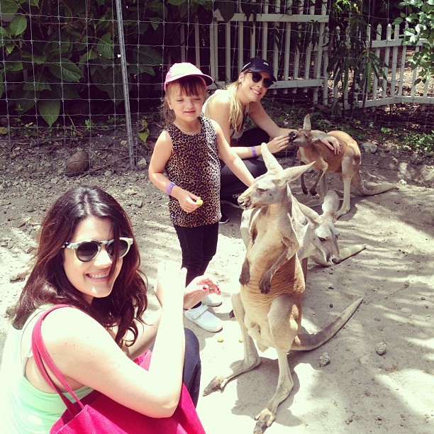 Rafaella Justus se diverte com canguru - Quem | QUEM News