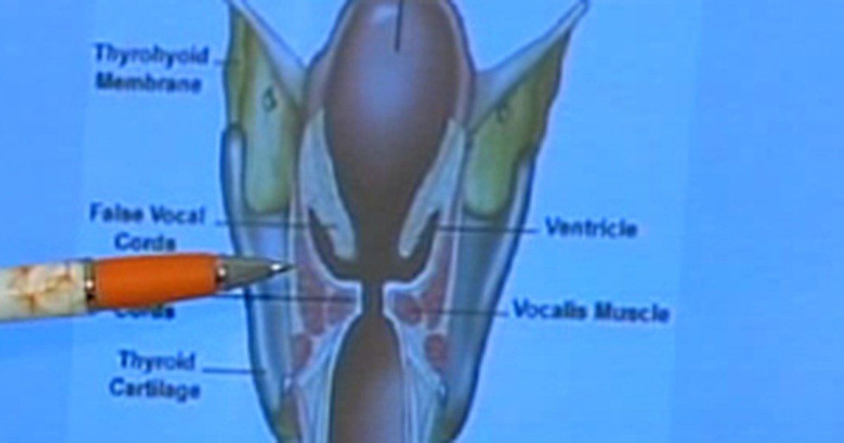 G1 - Brasil tem dez mil casos de câncer de laringe por ano, segundo ...