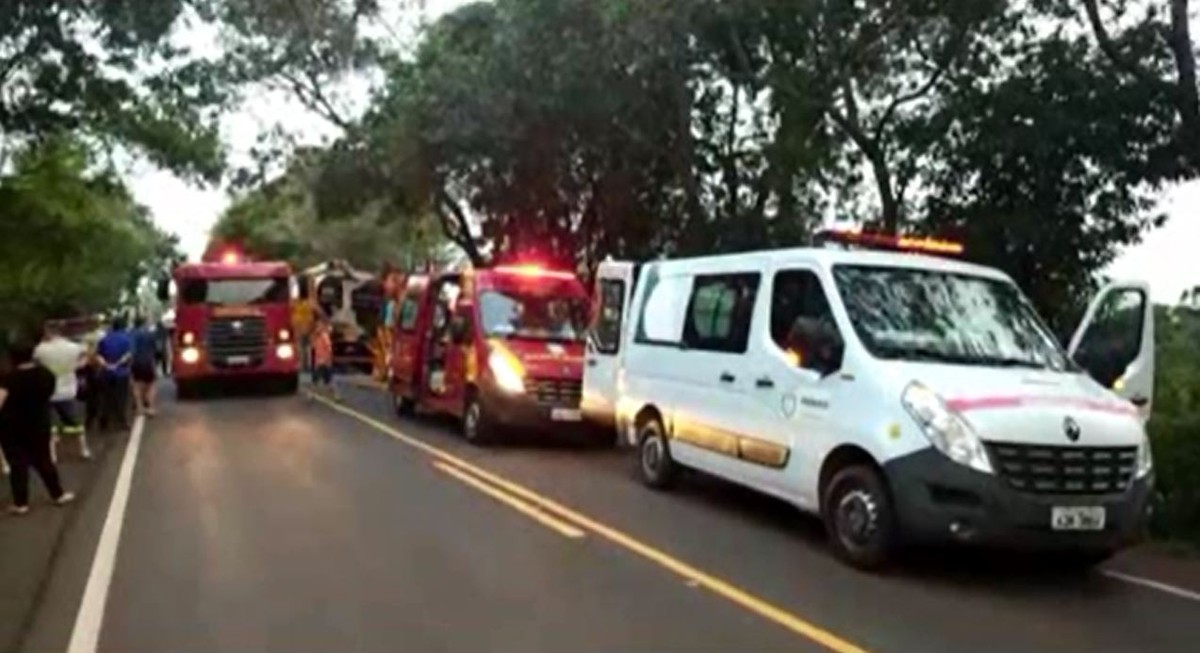 Ex-vereador de São João morre após caminhão bater em árvores na PR-281 ...