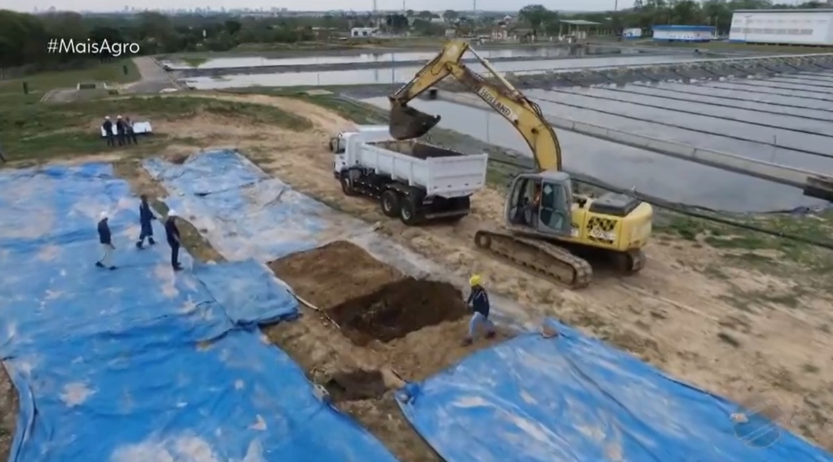 Lodo do esgoto doméstico é tratado e vira adubo para pastagem da ...