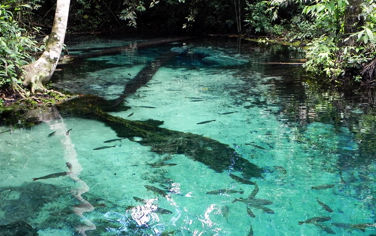 Governo autoriza obras no valor de R$ 40 milhões em Nobres (MT) | Mato ...