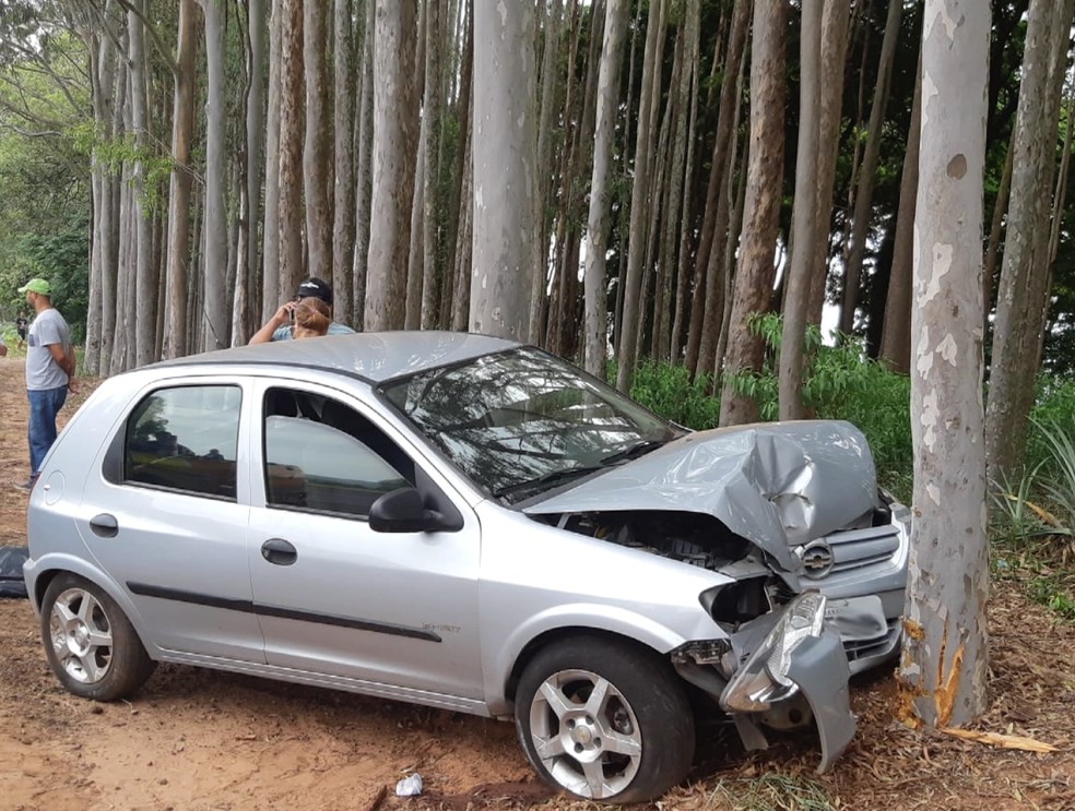 Após carro bater em árvore, mulher morre e duas pessoas ficam feridas na BR-376 | Norte e ...