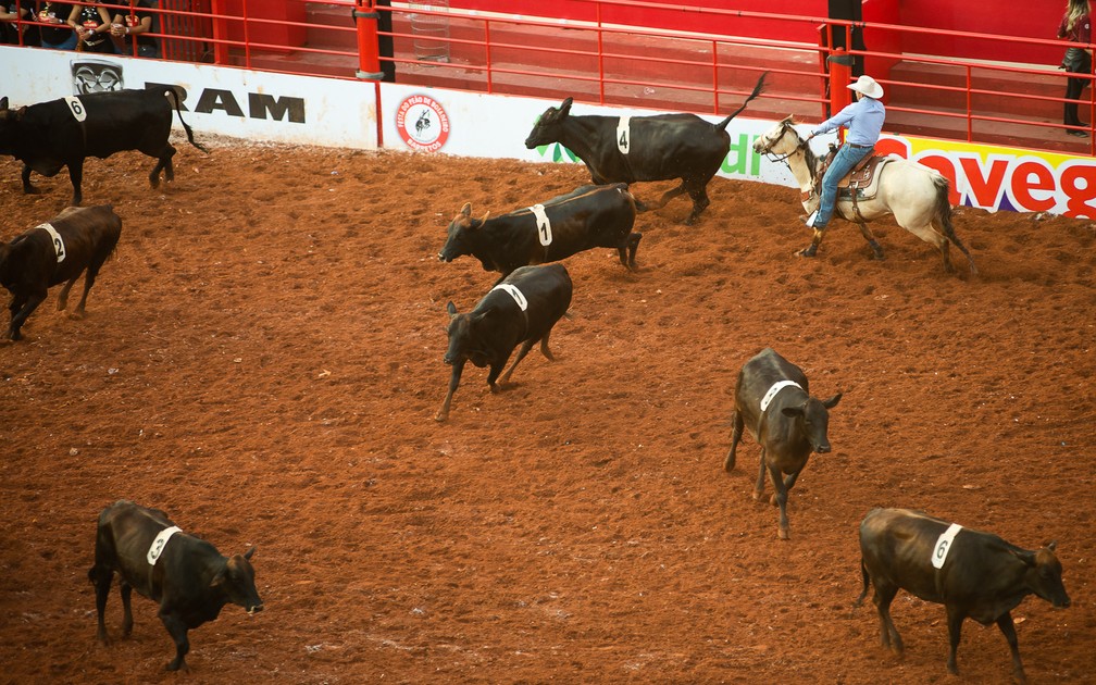 Barretos 2019: finais do Rodeio Internacional; FOTOS | Festa do Peão de ...