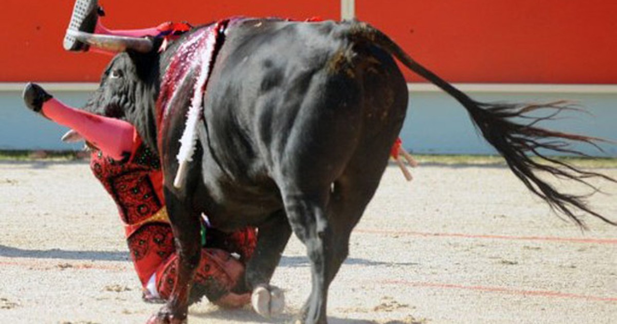 G1 - Touro atinge espanhola na perna durante tourada na França ...