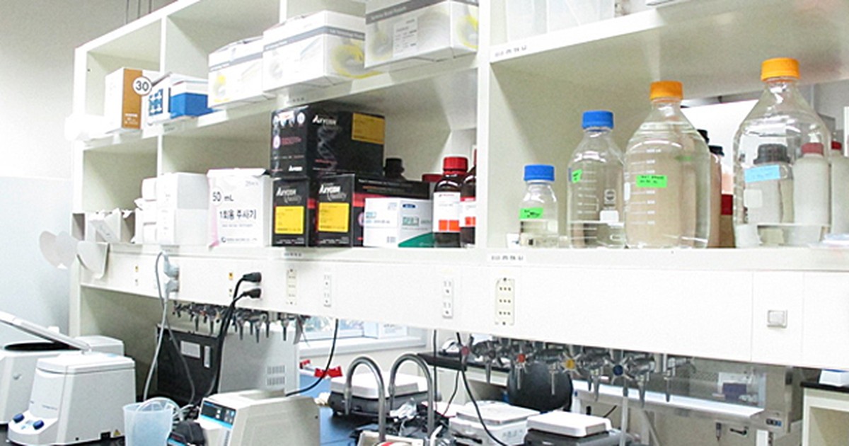 Bem Estar - Vacina mais barata contra cólera será testada na Etiópia a ...