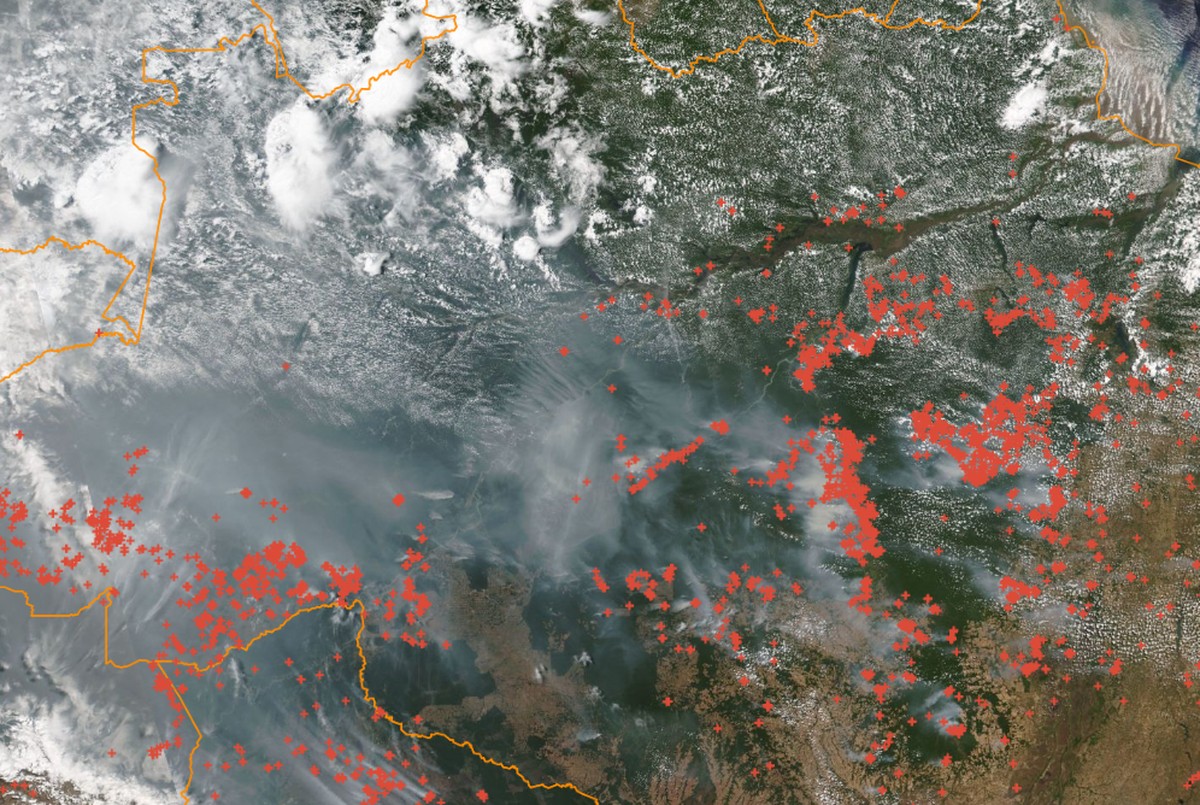 Amazonas registra mais de 2 mil focos de queimadas nos primeiros dias ...