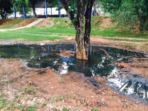 G1 - Água parada incomoda prudentinos que caminham no Parque do Povo ...