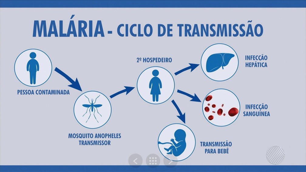 Vila Pavão tem 29 casos confirmados de malária e uma morte suspeita, no ...