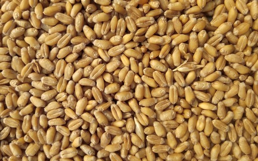 Marubeni venderá negócios de grãos Gavilon para braço da Glencore por ...