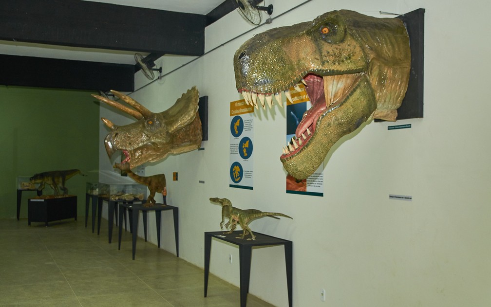 Monte Alto: terra dos dinossauros; FOTOS | Ribeirão Preto e Franca | G1