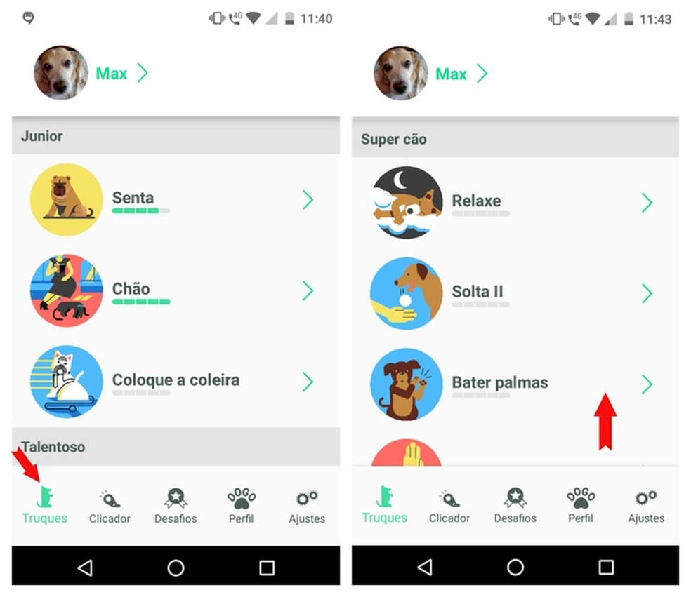 Como ensinar e treinar o seu cachorro com a ajuda do aplicativo Dogo ...