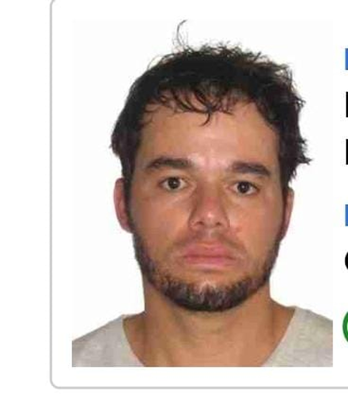 Corpos de mãe e filhas assassinadas em Brumadinho são liberados do IML; ex de uma das vítimas é ...