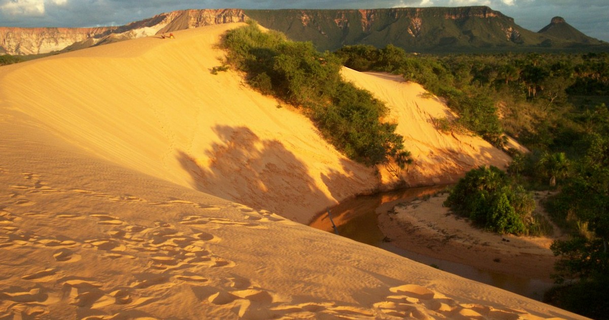 G1 - Lista mostra 25 símbolos característicos do Tocantins - notícias ...