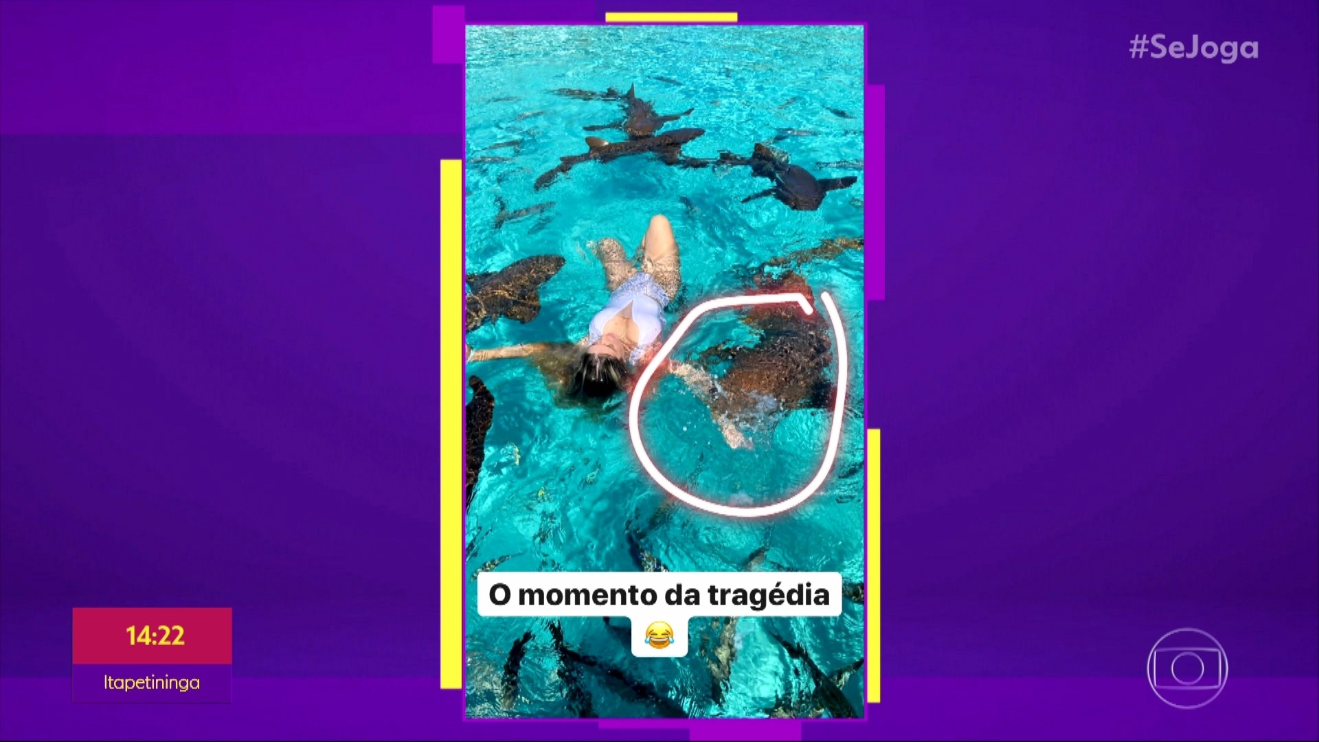 Vídeos do episódio de 'Se Joga' de quinta-feira, 30 de janeiro | TV | gshow