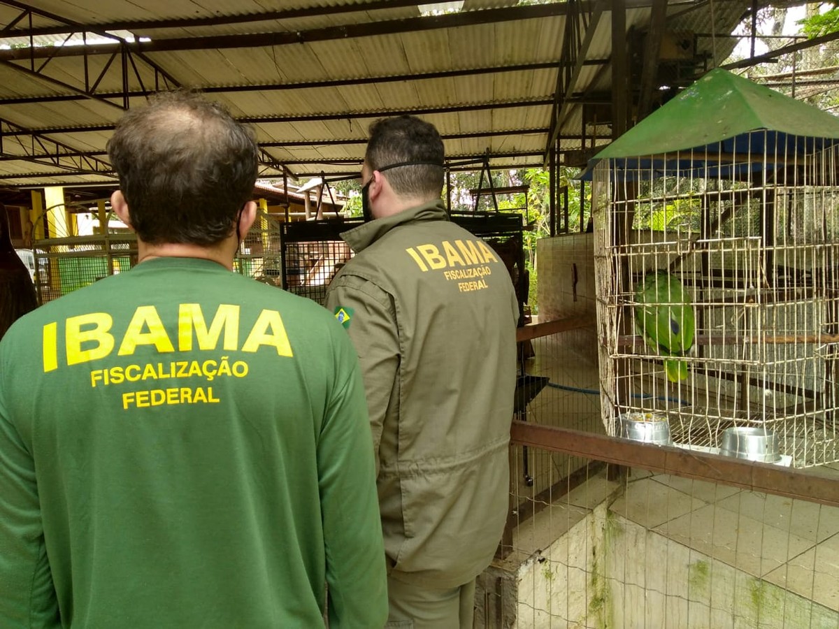 Ibama abre edital de concurso com 15 vagas para o Tocantins; salários ...