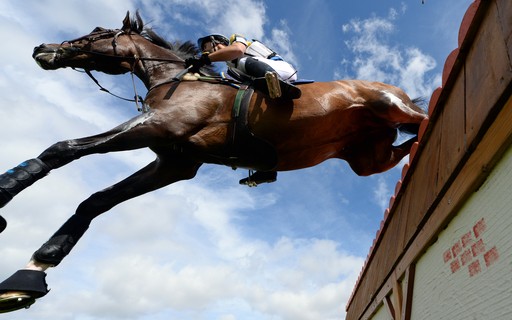 Merck anuncia novos planos de segurança para suplemento Zilmax ...