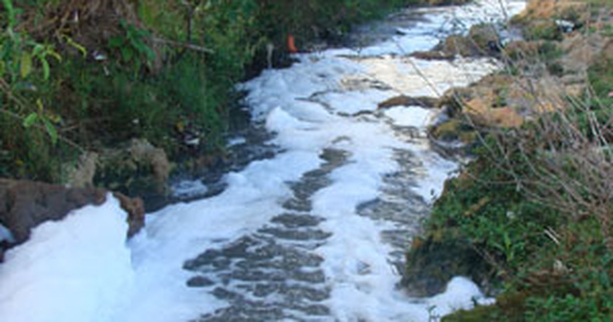 Natureza - SOS Mata Atlântica avalia rios brasileiros como 'ruins' ou ...