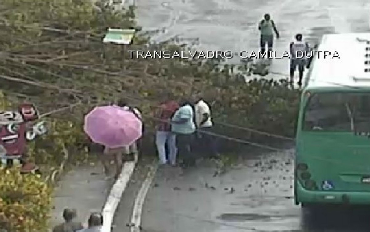 Queda de árvore atinge fiação e deixa trânsito lento no bairro do ...
