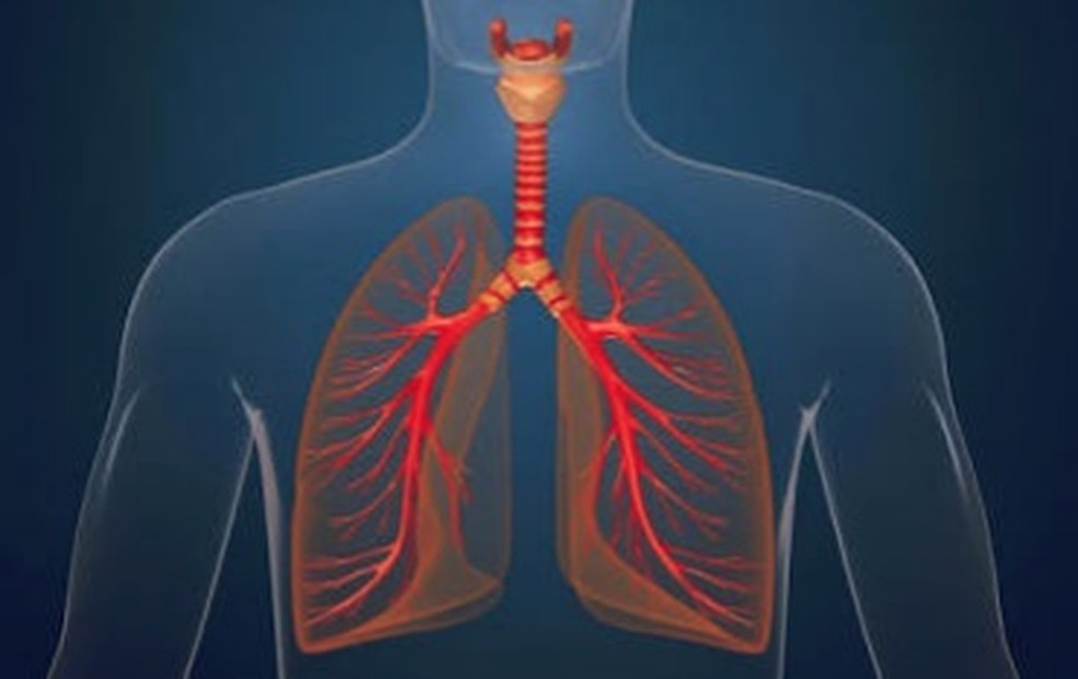 Pesquisador da UFCG desenvolve novo tratamento para doença de traqueia ...