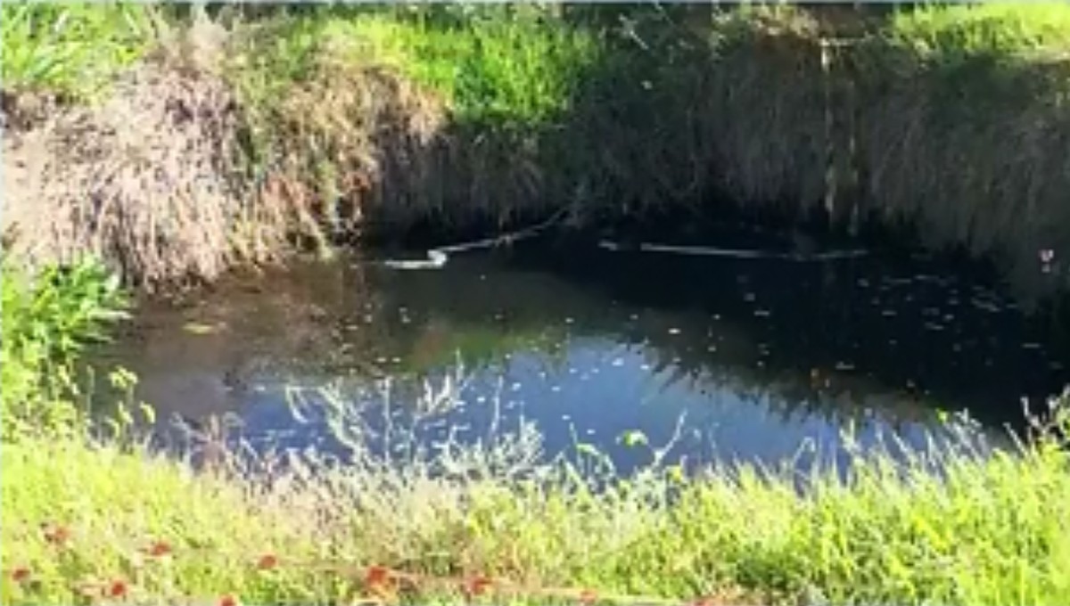 Moradores denunciam fossa aberta e cheia de dejetos em hospital de MT ...