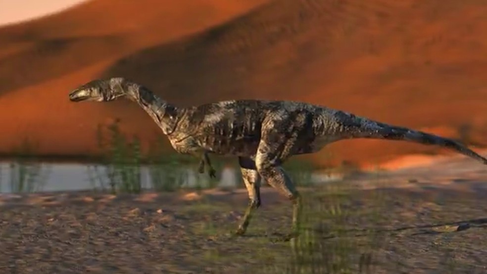 Conheça as espécies de dinossauros que foram encontradas na região de ...