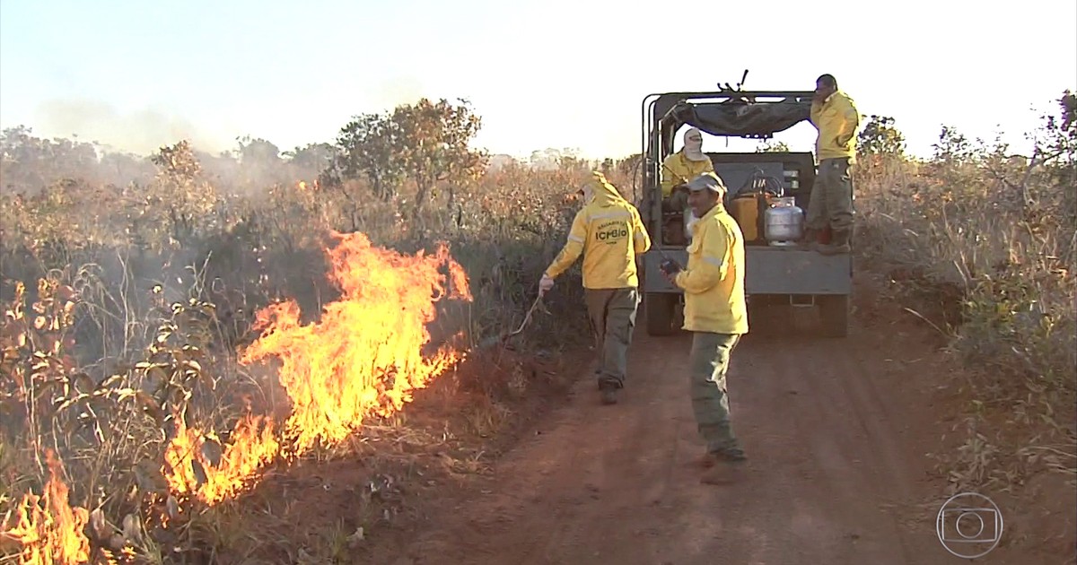 G1 - Aceiros são feitos para evitar incêndio no Parque Nacional das ...