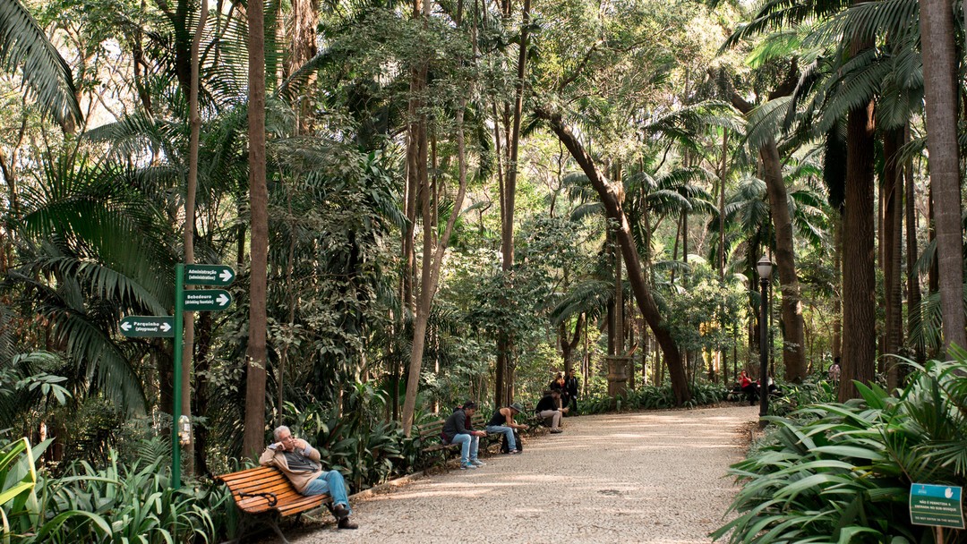 Parque Trianon | Tudo Sobre | G1