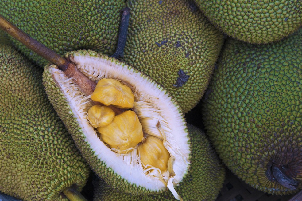 Fruta fedorenta causa evacuação de universidade na Austrália | Mundo | G1