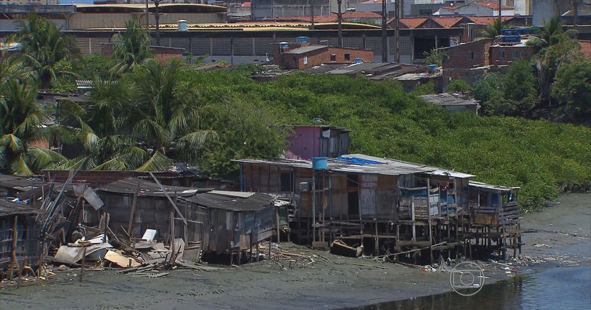 G1 - Levantamento mostra que Recife tem 564 mil pessoas morando em ...