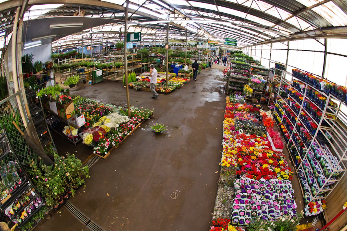 Ceasa Campinas fecha Mercado de Flores e suspende feiras convencionais ...