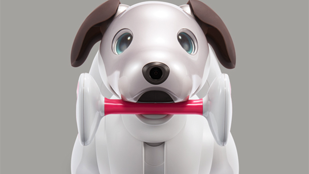 Aibo | Hardware | TechTudo