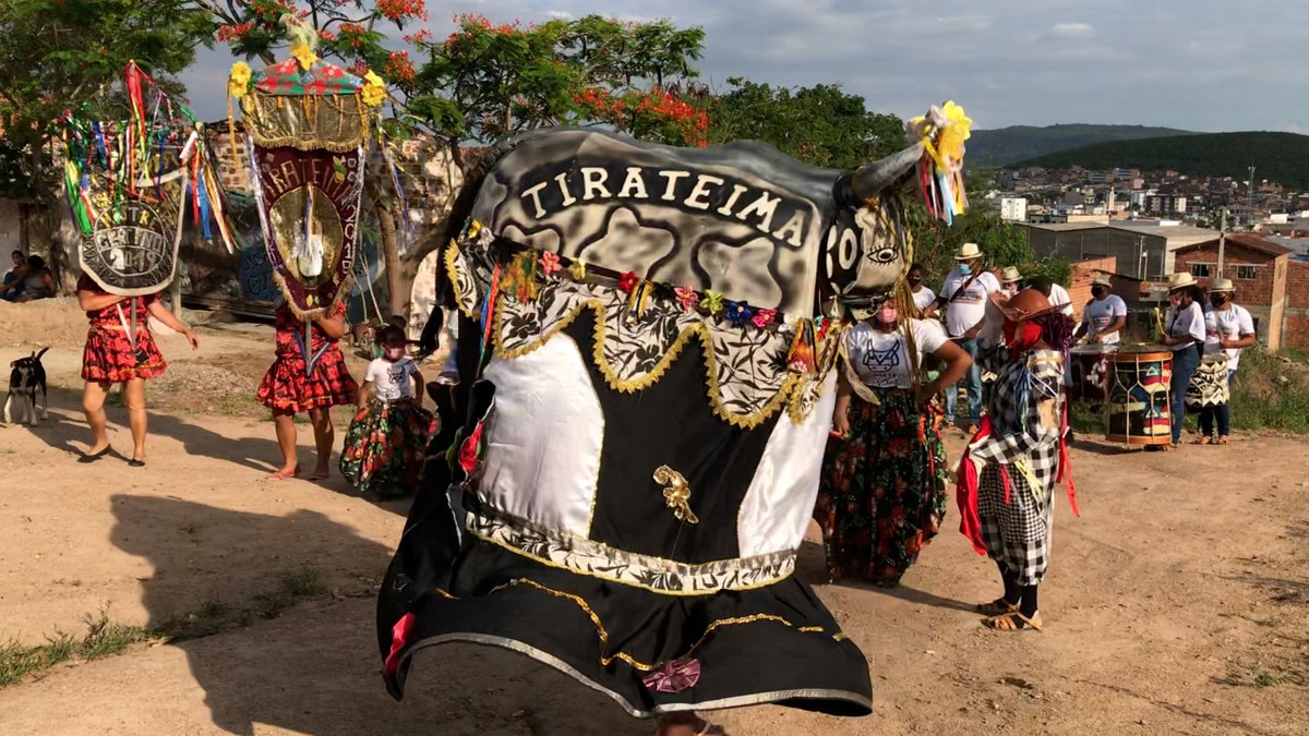 Boi Tira-Teima de Caruaru celebra 100 anos com programação especial ...