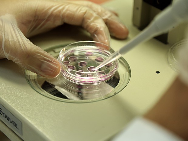 G1 - Evento discute produção e regulamentação de biofármacos no Brasil ...