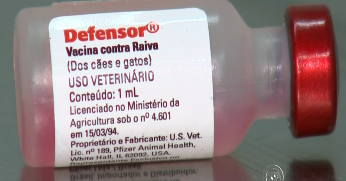 G1 - Vacina contra raiva atrasa em vários municípios da região de ...