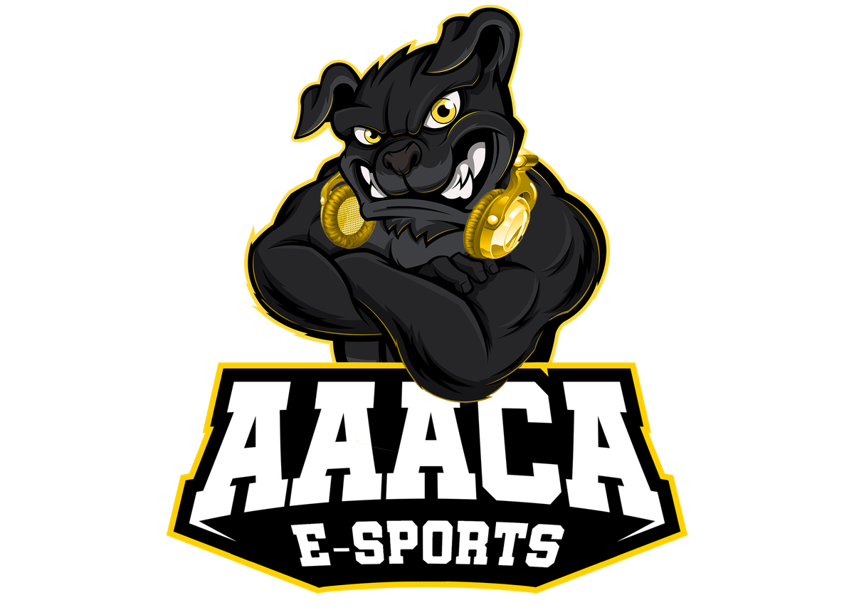 Conheça a AAACA UFSC, equipe confirmada no TUeS em 2021 | gameplaysc | ge