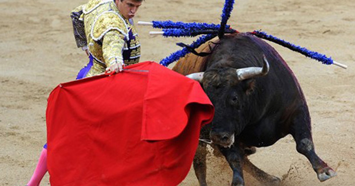 G1 - Toureiro volta à arena dois dias após ter sido atingido em festa ...