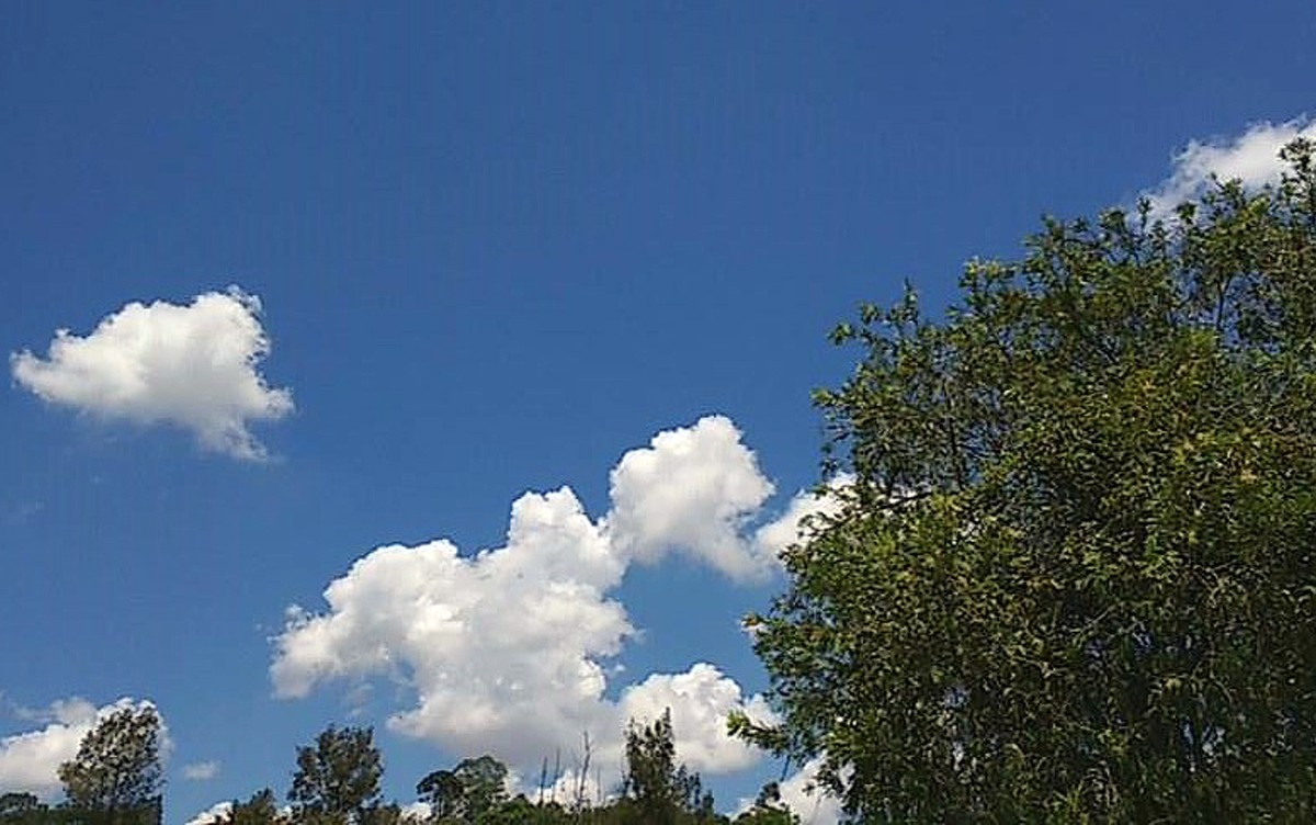 Verão 2021/2022 será de temperaturas elevadas e chuva dentro da média ...