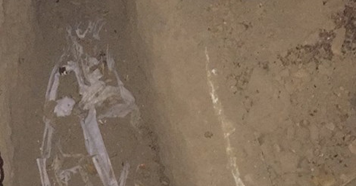 G1 - Morador flagra restos mortais em cova aberta em cemitério de ...