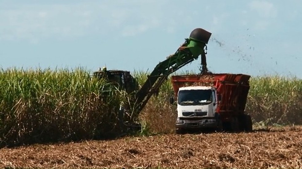 Preço do etanol deve ficar mais competitivo em relação à gasolina, diz ...