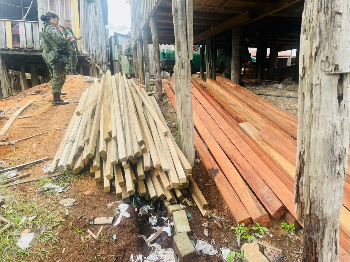 Madeira irregular é apreendida em depósito e em terreno de Manaus ...