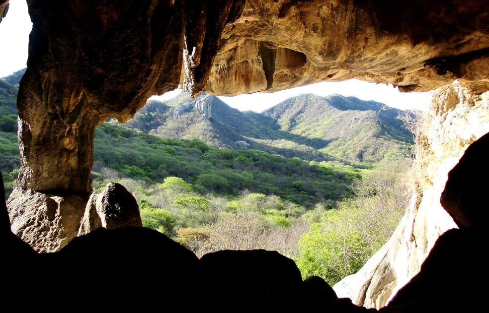 Registros da Caatinga revelam detalhes do bioma exclusivo do Brasil ...