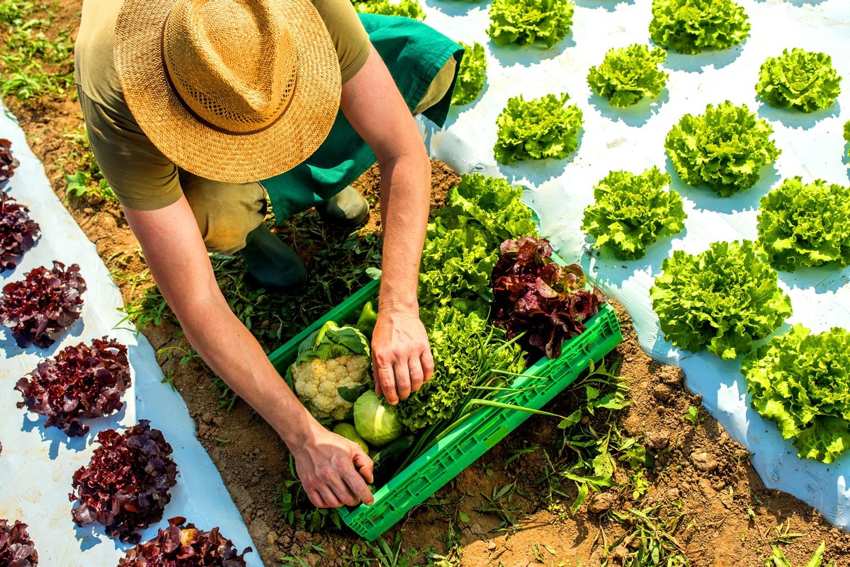 Soluções sustentáveis para o produtor rural | Braskem | Um só Planeta